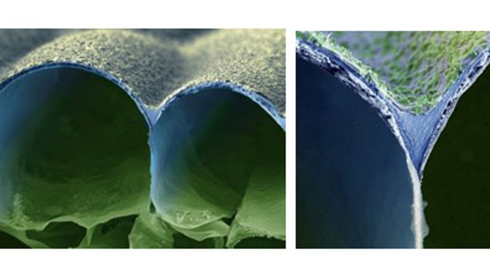 Informace o fungicidu Pictor Revy